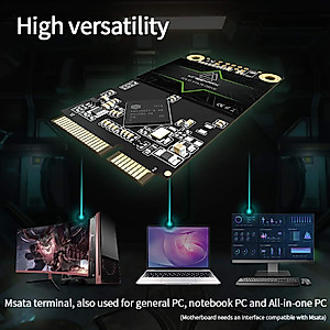 Kingshark Gamer mSATA 256GB Internal Solid State Drive High Performance Hard Drive for Desktop Laptop SATA III 6Gb/s Includes SSD (256GB, Msata)