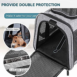 Petsfit Most Airline Approved Cat Carrier Dog Carriers Soft-Sided Pet Washable Travel Carrier for Puppies/Kittens/Rabbit,5-Sided Breathable mesh/Self-Lock Zippers