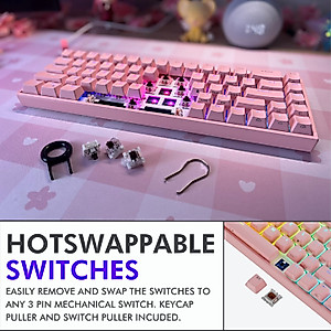 Tilted Nation 65% Percent Keyboard Pink - Compact Hot Swappable Mechanical Keyboard - Dual Wired or 2.4G Wireless RGB Gaming Keyboard - Rechargeable, 68 Key, Customizable RGB, Brown Switches