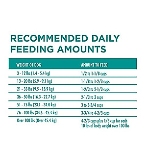 Purina ONE Dog Digestive Support, Natural Dry Dog Food, +Plus Digestive Health Formula - 31.1 lb. Bag