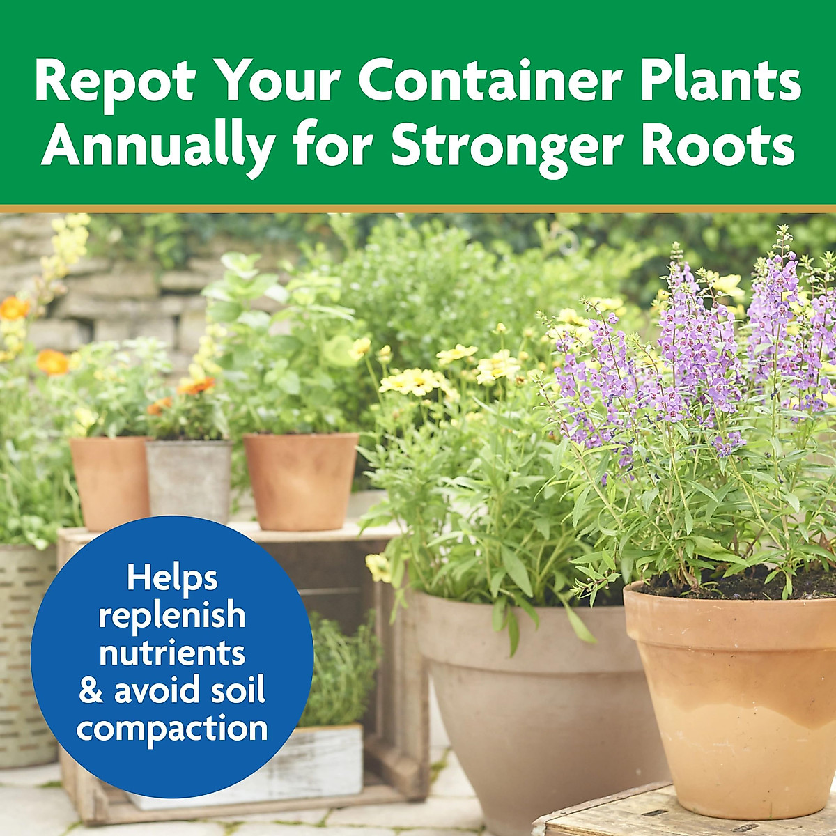 Miracle-Gro Moisture Control Potting Mix - Soil for Indoor & Outdoor Containers, Added Fertilizer Feeds Up to 6 Months, 8 qt.