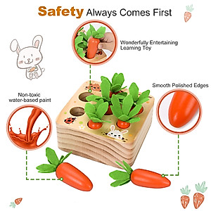 Giggles Montessori Carrot Harvest - Wooden Educational Toys for Boys and Girls - Preschool Learning Gift - Toddlers Wood Game – Shape Sorting Toy - Worm Toy Playset - for Age 1 2 3 Year Old