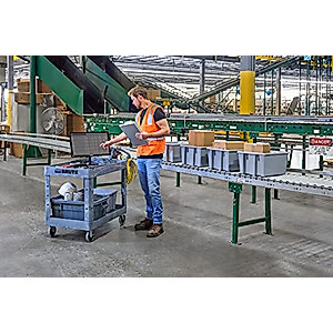 Rubbermaid Commercial Products Brute Heavy Duty 2-Shelf Utility/Service Cart, Medium, Lipped Shelves, Ergonomic Handle, 500 lbs. Capacity, Gray, for Warehouse/Garage/Cleaning/Maintenance/Stadiums