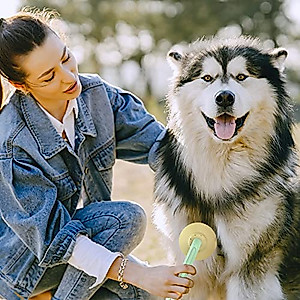 Cat Brush for Shedding - Cat Grooming Brush Cat Brushes for Indoor Cats Self Cleaning Pet Sicker Brush Dog Brush for Long or Short Hairs Easy Removes Mats, Tangles Loose Undercoat Hairs(Green)