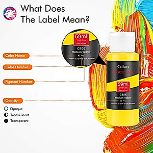 Caliart Acrylic Paint Set With 12 Brushes, 24 Colors (59ml, 2oz) Art Craft Paints Gifts for Artists Kids Beginners & Painters, Easter Basket Stuffers Pumpkin Canvas Ceramic Rock Painting Supplies Kit