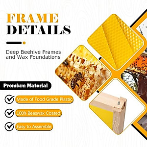 BeeCastle 10 Pack Beehive Frames and Wax Foundations for Deep Brood Bee Hives with Wooden Bee Hive Frames and 100% Beeswax Coated Foundations, 9-1/8-Inch (Yellow)
