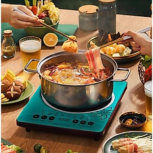 TYEMUI 2200W Induction Hot Plate,Portable Electric Cooktop Single Burner High Power Electrical Hot Plates for Cooking in Dorm, Apartments, Home 110V-120V