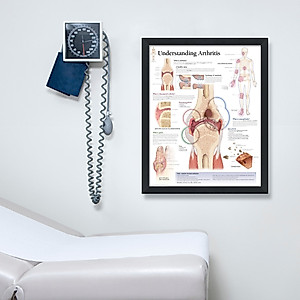 The Eye, Wall Decor Poster and Frame, Educational Art for Classrooms and Offices