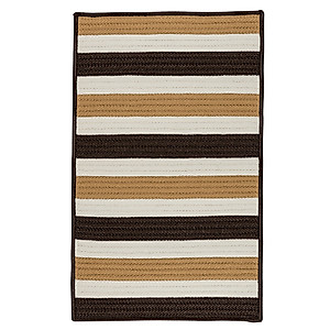 Portico Braided Area Rug, 4x6, Espresso