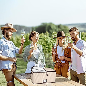 Hold N Storage Set of 2 Wine Glass Storage with dividers - Each Holds 12 standard size wine glasses up to 10" H - Stemware Storage Case, Durable Quilted Glasses Storage Organizer With Carry Handles