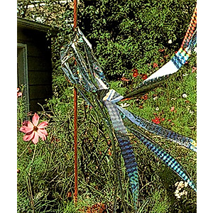 Bird-X Irri-Tape® Holographic Iridescent Foil Bird Scare Tape, 2" x 100ft Length