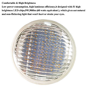 LED PAR36 Bulb 9W 5000K Eq to 60W Halogen 10-30V Waterproof IP68 Flood Landscape Light Bulbs Led Tractor Lights for Landscape Well Light Off-Road Vehicles Tractor RV Vehicles(Daylight White 1 Pack)