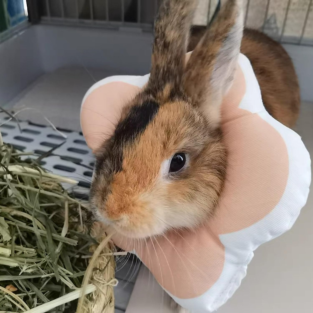 Adjustable Rabbit Protection Cone Collar - Soft Waterproof Recovery Collar for Bunny Chinchilla Guinea Pig Kitten After Surgery Wound Healing Elizabeth Neck Cone E-Collar for Small Pets (Pink, XS)