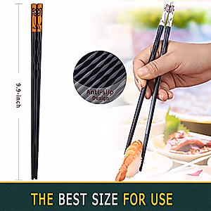 HuaLan Fiberglass Chopsticks Series - Japanese Non-Slip Chopstick, Reusable Chop Sticks Dishwasher Safe, 5 Pairs, Gift Set, 9.9 Inches