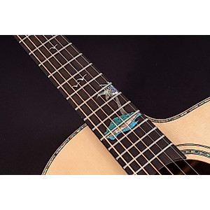 Washburn Bella Tono 6 String Acoustic-Electric Guitar, Right, Gloss Natural (BTSC56SCE-D)