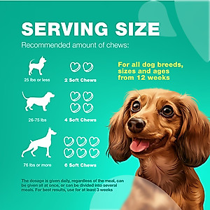 Travel Pack of Dog Probiotics - Pro+Prebiotics for Dogs - Enzymes, Wild Yam, Pumpkin Powder - Gut and Immunity Health - Convenient Packaging