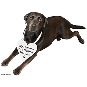 Pulse Brands Engagement Photo Prop Sign - My Humans are Getting Married - Engagement Gifts - Bride to Be - Engaged - Engagement Gifts for Couples (White)