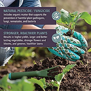 Arcadia Garden Products Worm Nerd Worm Castings, Natural Soil Additive for Lawns, Gardening and Potted Plants, 4 Pounds, Black (WN05) ***Cannot Ship to Hawaii***