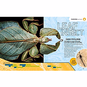 Ultimate Bugopedia: The Most Complete Bug Reference Ever (National Geographic Kids)