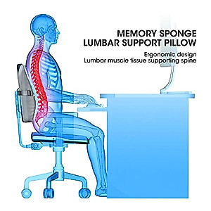 Bipintip Lumbar Support Office Chair with Adjustable Strap and Washable Cover - Back Cushion for Couch,Recliner,Car,Desk Chair - Lumbar Pillow Back Pain Relief,Improve Posture(Gray)