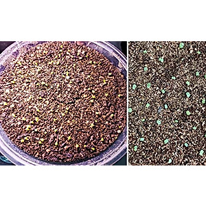 30 QT Professional Grade Horticultural Organic Vermiculite (30 QT, Vermiculite)