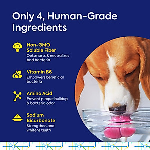 TEEF! for Life Protektin42 Plant-Derived Dental Water Additive for Dogs, Daily Dental Care, Clinically-Proven Formula Naturally Fights Plaque and Tartar, Refill Packet with 30 Servings