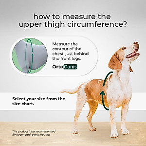 Ortocanis - Hip Support for Dogs with Hip Dysplasia or Osteoarthritis (L)