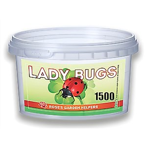 1500 Live Ladybugs - Hippodamia Convergens - Guaranteed Live Deliver - Plastic Container for Moth (1500)