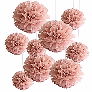 Set of 9 Dusty Rose Mauve Pink Tissue Pom Poms Paper Flowers Wall Backdrop Centerpieces for Wedding Nursery Baby Shower Hanging Decoration