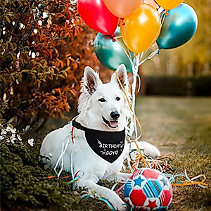 Dog Birthday Party Supplies Birthday Boy Dog Bandana Black Its My Birthday Dog Bandana for Small Medium Large Dogs Pets Outfits