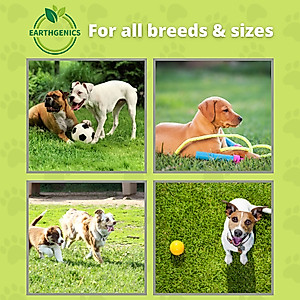 Premium Dog Joint Supplement with Glucosamine, Chondroitin, MSM, Omega 3 and 6 – Natural Dog Hip and Joint Supplement for Mobility – 90 Soft Chews