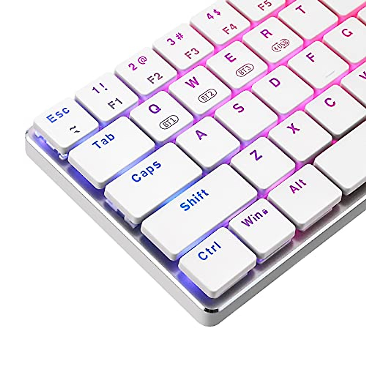 HUO JI 60% Compact RGB Wireless Mechanical Gaming Keyboard, Blue Switches, Bluetooth 5.0, Wired Keyboard 69 Keys for PC Tablet Laptop Cell Phone, White