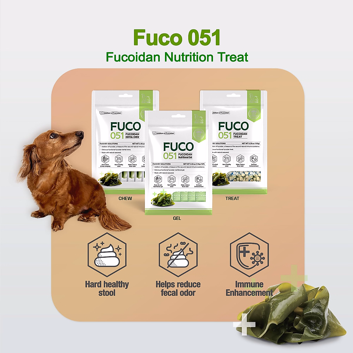 Fabrechew Fuco 051 Fucoidan Treat for Dogs – Immune & Digestive Health, Stool & Odor Support, Antioxidant, Superfood with Spirulina & Kelp, 5.29 oz (150g)