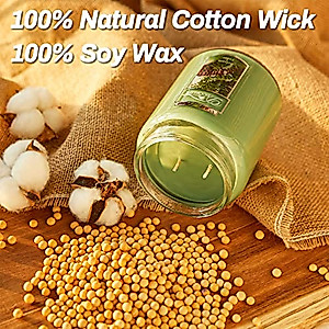 Decorlife 22 oz Scented Candles, Large Balsam & Cedar Christmas Candles with 2 Wicks, Strong Smelling and 110 Hours Long Lasting Time, 2-Pack