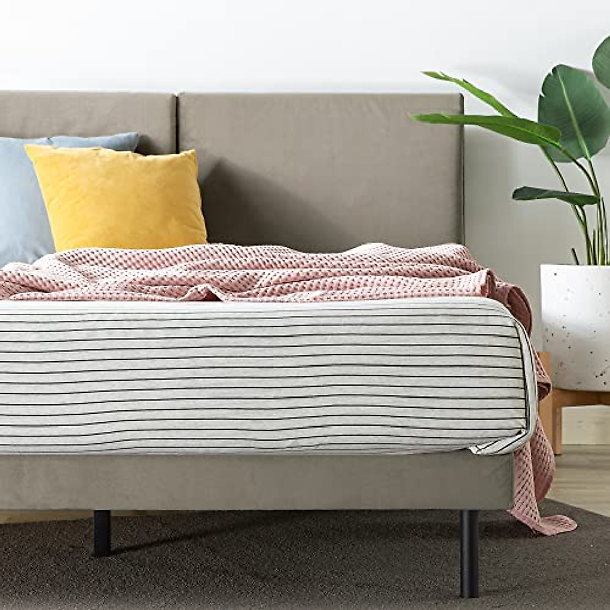ZINUS Taylor Velvet Upholstered Platform Bed Frame with Split Headboard, Velvet Bed Frame, No Box Spring Needed, Easy Assembly, Latte, Full