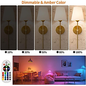 HOMOSUM Battery Operated Light Bulb,E26 Detachable Charging,Non-Hardwired,40W Equivalent,2400mAh,Remote Control,Dimmable Light Bulb with Remote Control,LED Emergency Puck Lamp,No Wiring(1-Pack)