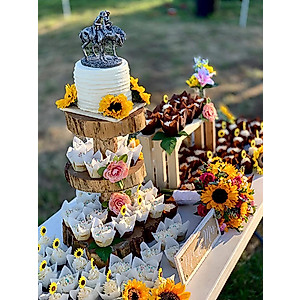 Tulip Cupcake Liners-300 Pack Tulip Cupcake Wrappers Greaseproof Muffin Liners Baking Cups For Birthday,Party,Wedding-white color