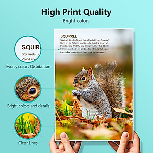 PACITEK 502 Compatible Refill Ink Replacement for T502 Used for ET-2850 ET-2760 ET-3850 ET-3710 ET-3750 ET-3760 ET-4850 ET-4750 ST-2000 Printer (2Black, Cyan, Magenta, Yellow)