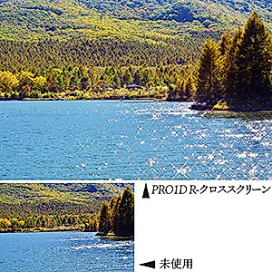 Kenko 72mm PRO1D R-Cross Screen Wide Digital-Multi-Coated Camera Lens Filters