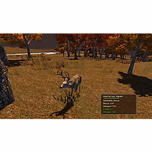 Cabela's The Hunt - Championship Edition (Nintendo Switch)