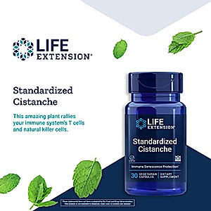 Life Extension Standardized Cistanche – Supports Immune & Cardiovascular Health – Gluten-free – Non-gmo – Vegetarian – 30 Vegetarian Capsules
