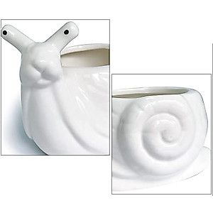 GeLive Ceramic Succulent Planter, White Snail Plant Pot with Drainage Hole, Animal Bonsai Holder Window Box for Cactus, Succulent Plants Home Office Garden Flower Pot Gifts for Plants Lover