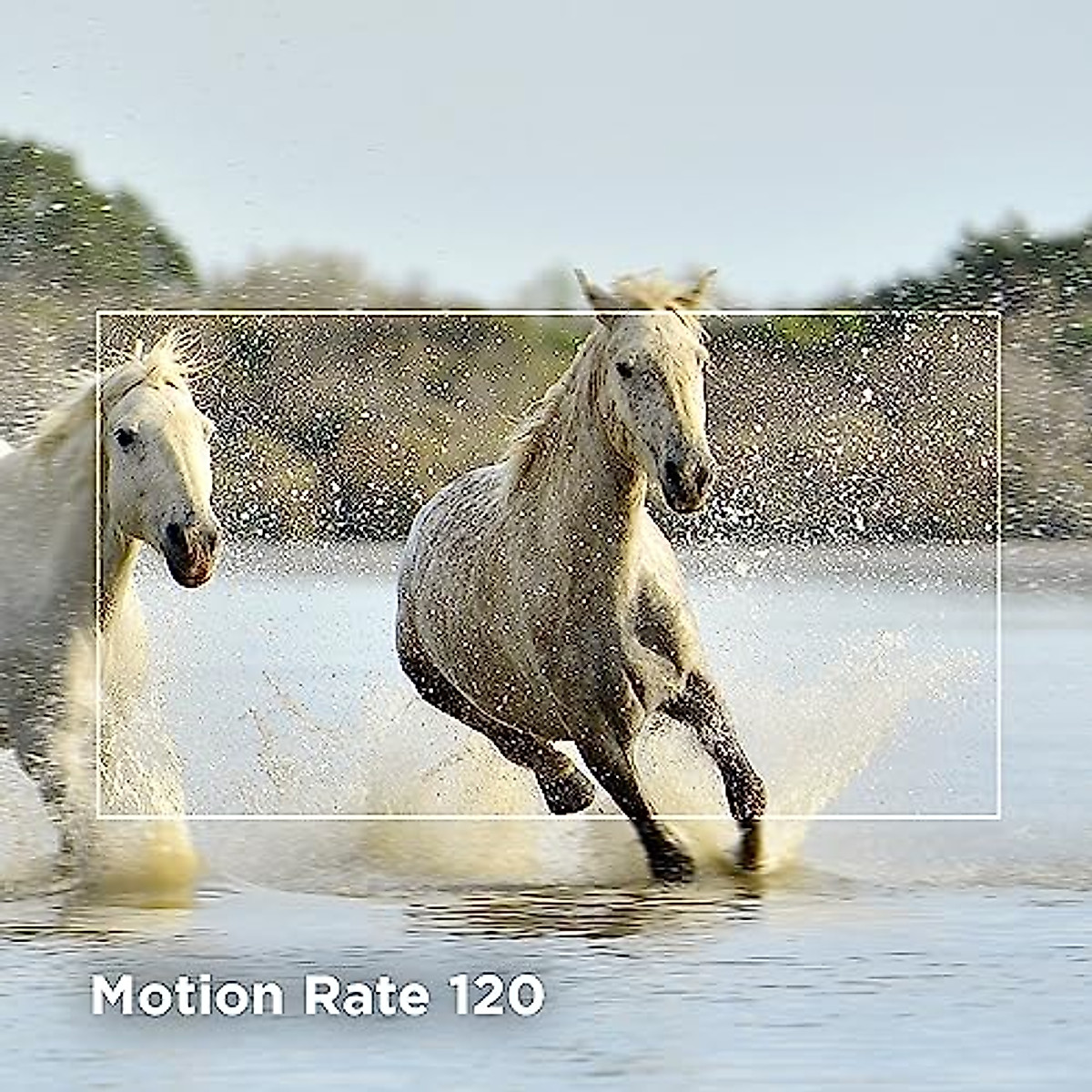 TCL 50-Inch Class S4 4K LED Smart TV with Fire TV (50S450F, 2023 Model), Dolby Vision HDR, Dolby Atmos, Alexa Built-in, Apple Airplay Compatibility, Streaming UHD Television, Black