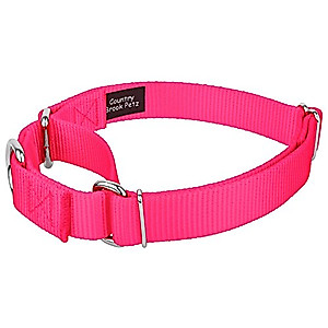 Country Brook Petz - Hot Pink Martingale Heavy Duty Nylon Dog Collar - 21 Vibrant Color Options (1 Inch Width, Medium)