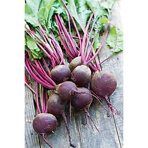Burpee Moulin Rouge Hybrid Beet Seeds 300 seeds