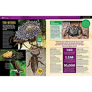 Ripley's Believe It Or Not! Mind Blown (17) (ANNUAL)