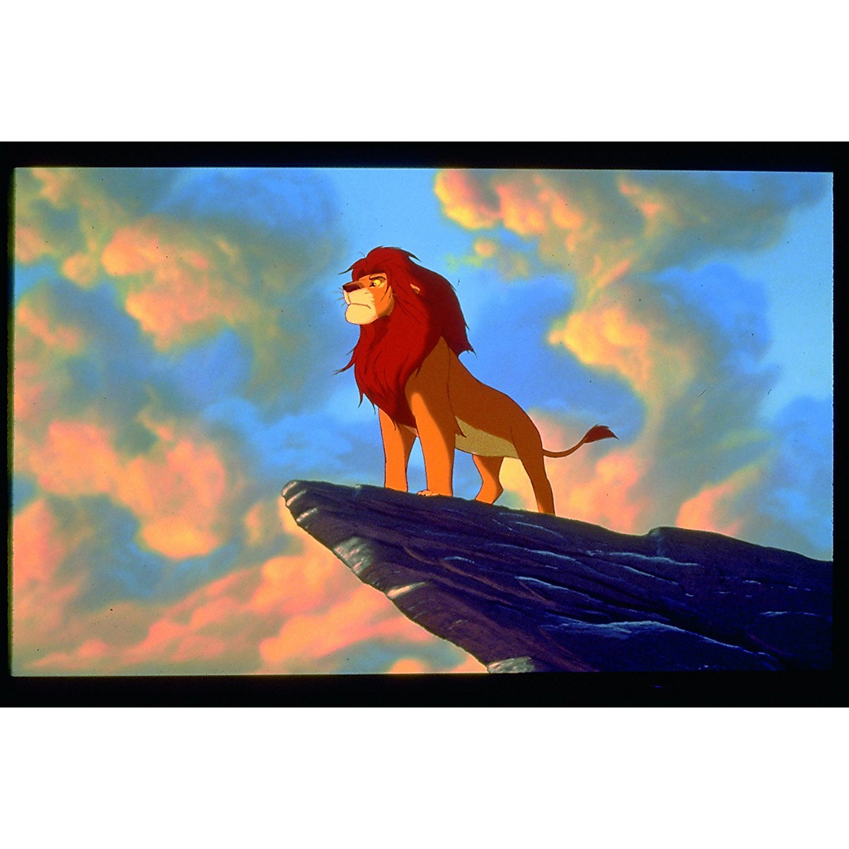 Verti The Lion King - Platinum Edition (DVD Two-Disc Special Edition) - Blank DVD Set - All Ages - 2 Count