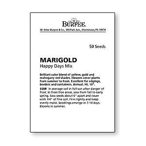 Burpee Happy Days Mix Marigold Seeds 150 seeds