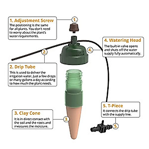 Blumat Automatic Watering System for 5 Plants (Starter Kit)| Fully Automatic Drip Irrigation Kit | No electricity, No Batteries required | Garden, Patio, Hanging Baskets, Raised Bed, Greenhouse | Sustainable Outdoor System
