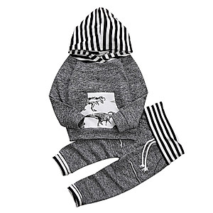 Toddler Infant Baby Boy Girls Clothes Hoodie Fall Winter Sweatsuit Pants Gender Neutral Long Sleeve Outfit Set(18-24 Months, Dinosaur)